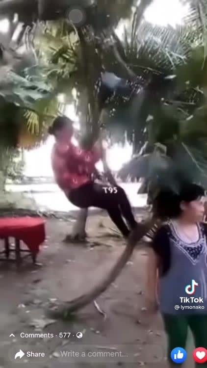 ជើងខ្លាំង - TNAOT