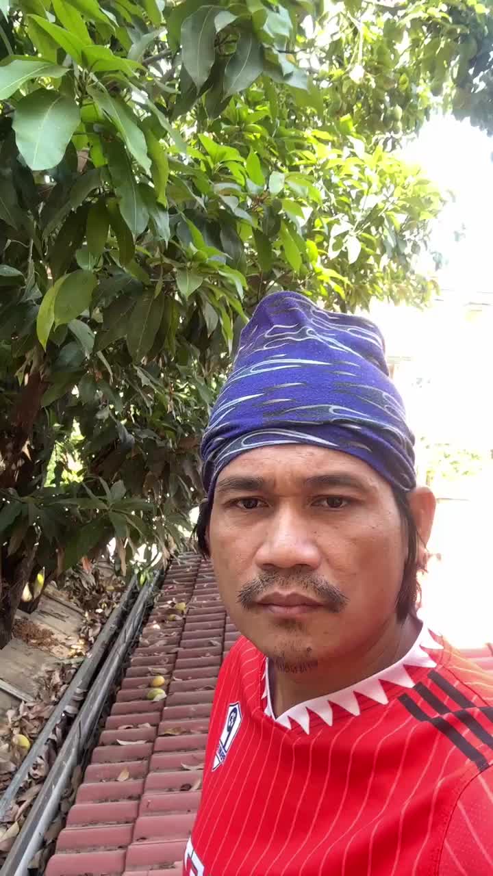 ដាំស្វាយ ហួសមកលេីផ្ទះខ្ញំ ជាង2ម៉ែត្ - 1of3 - TNAOT