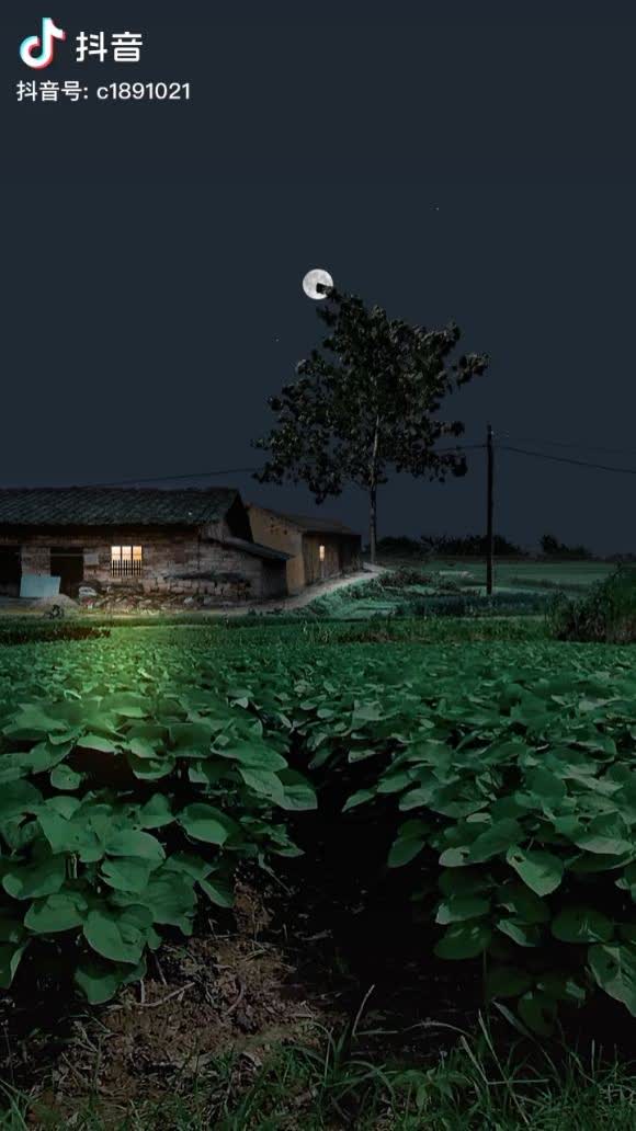 so lonely 🥺 - TNAOT