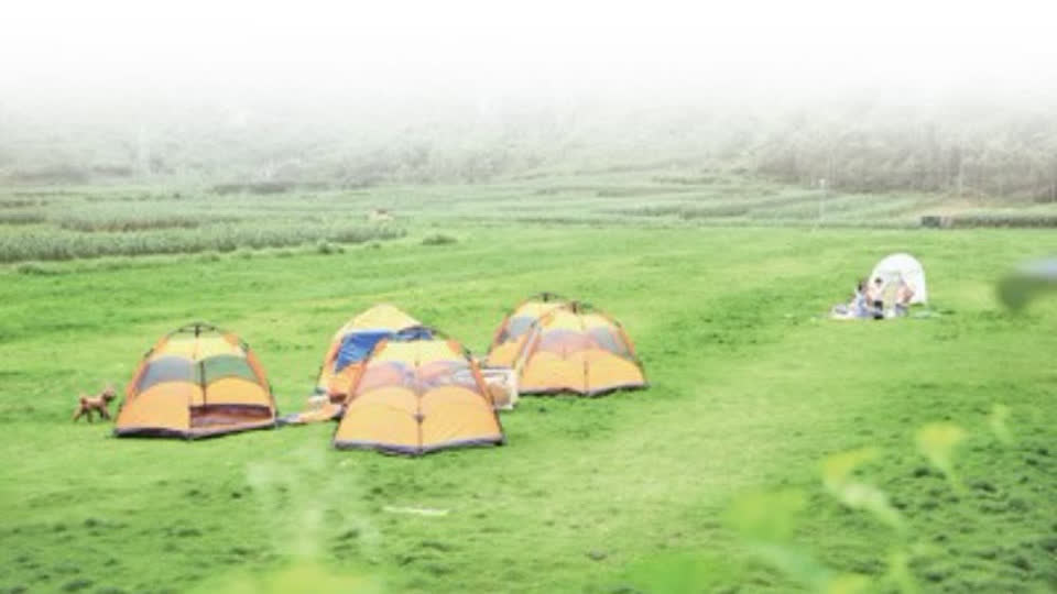 ស្រុក Mashan នៃភូមិភាគស្វយ័តក្វាងស៊ីបានអភិវឌ្ឍន៍អាជីវកម្មឡើងភ្នំថ្ម ...