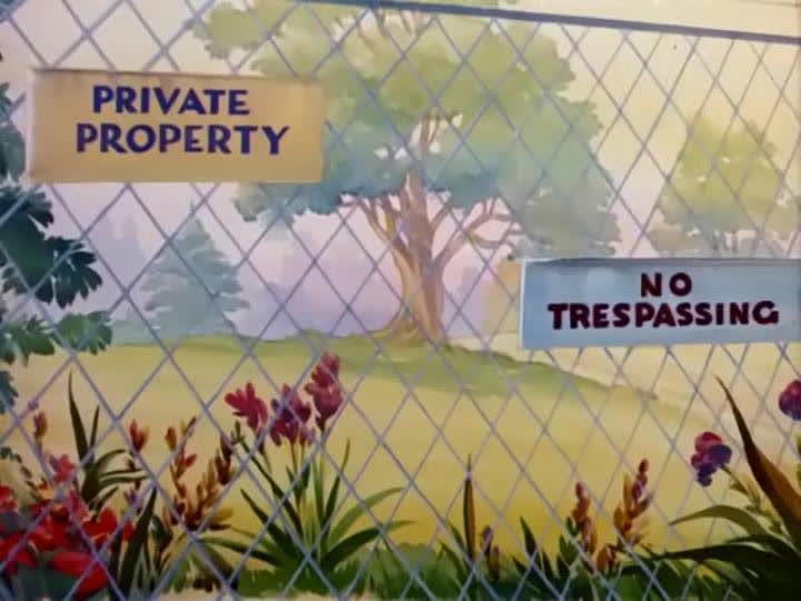 រឿង ឆ្មានិងកណ្តុរ - TNAOT