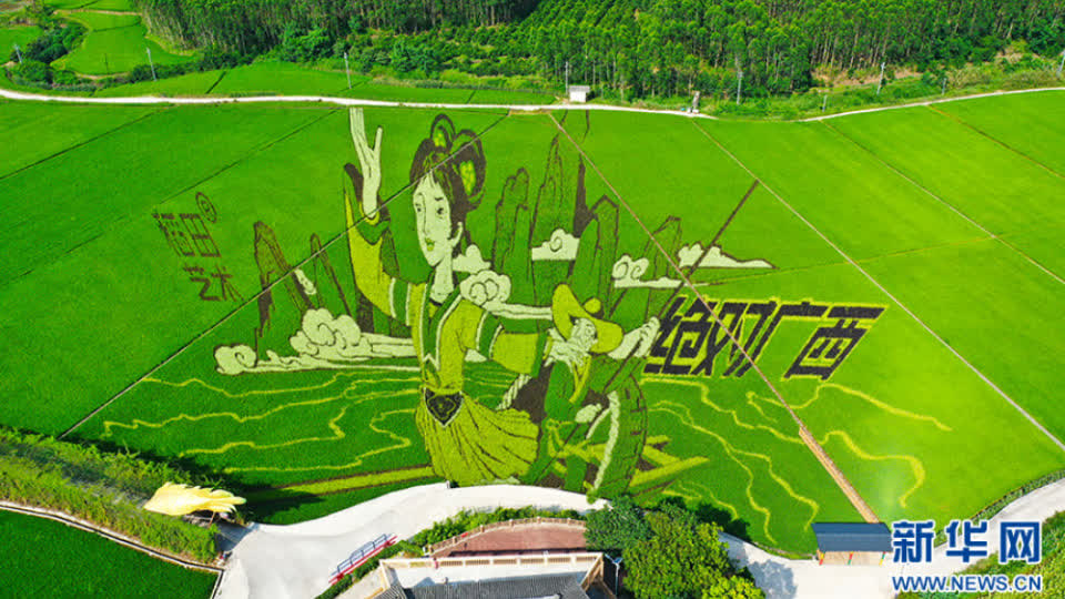 稻田画卷里的“刘三姐” - TNAOT